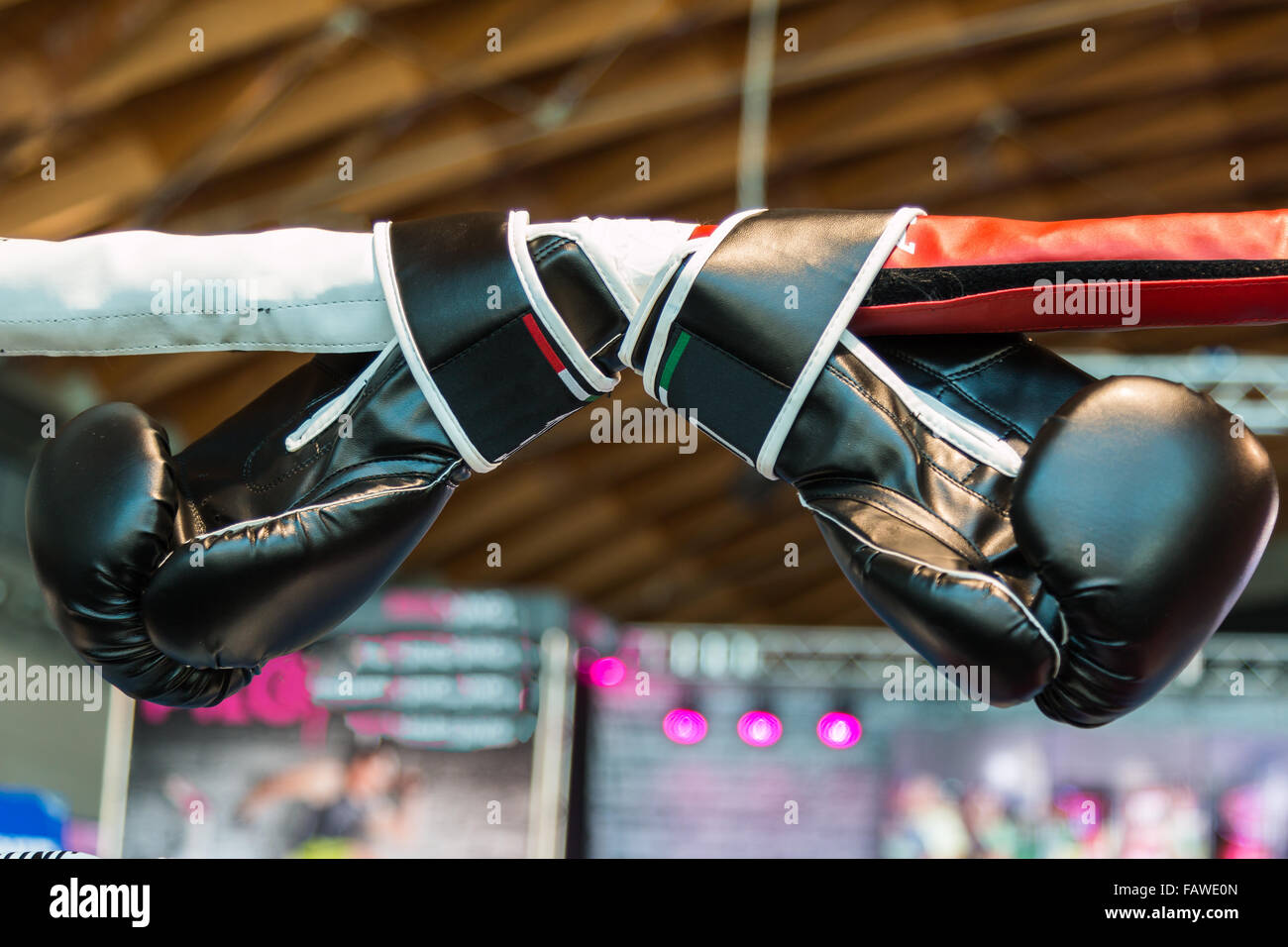 Black Boxing Gloves Linked to Ring Ropes Stock Photo - Alamy