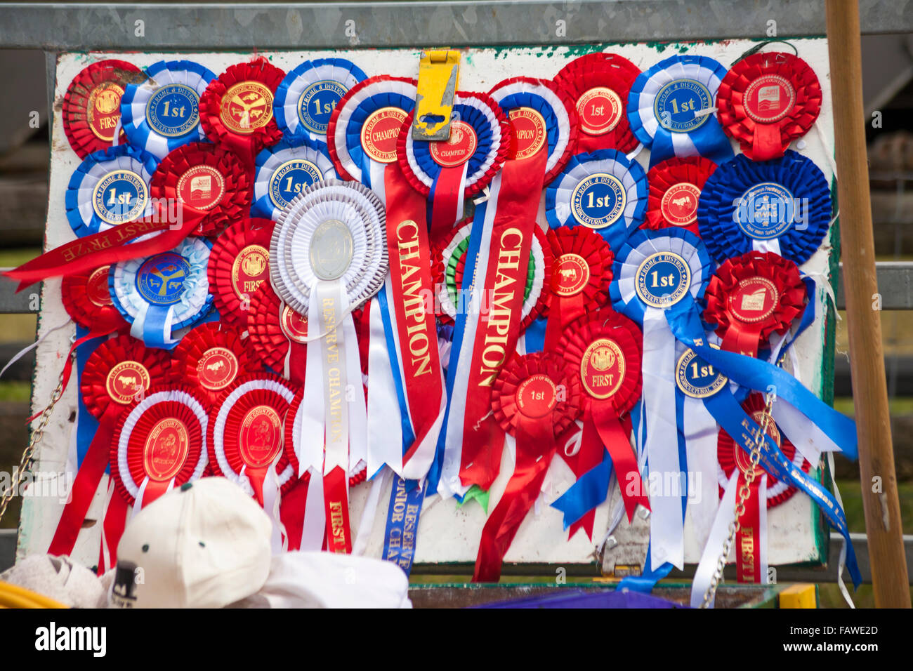 Rosettes at the Ellingham & Ringwood Agricultural Society Annual Show ...