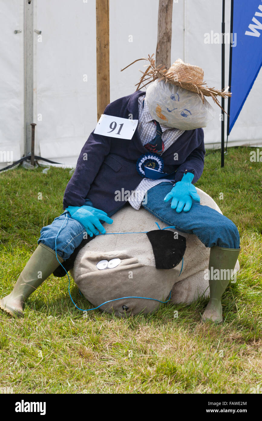 Farmer sitting on pig scarecrow at the Ellingham & Ringwood ...