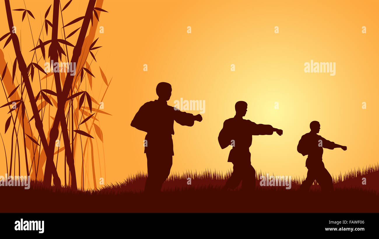 Three men demonstrate Karate on a background a calling sun Stock Photo ...