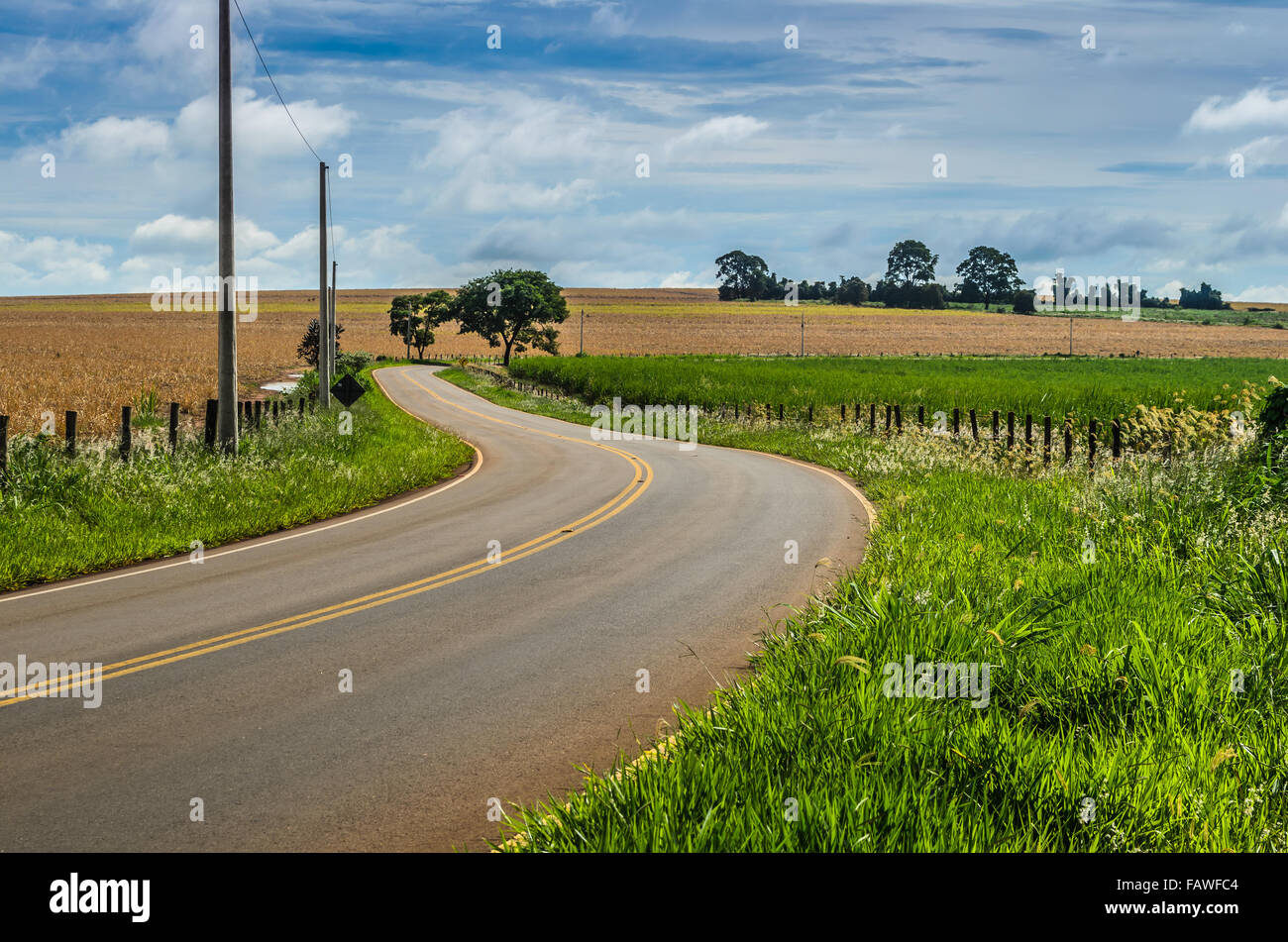 Brazilian countryside hi-res stock photography and images - Alamy