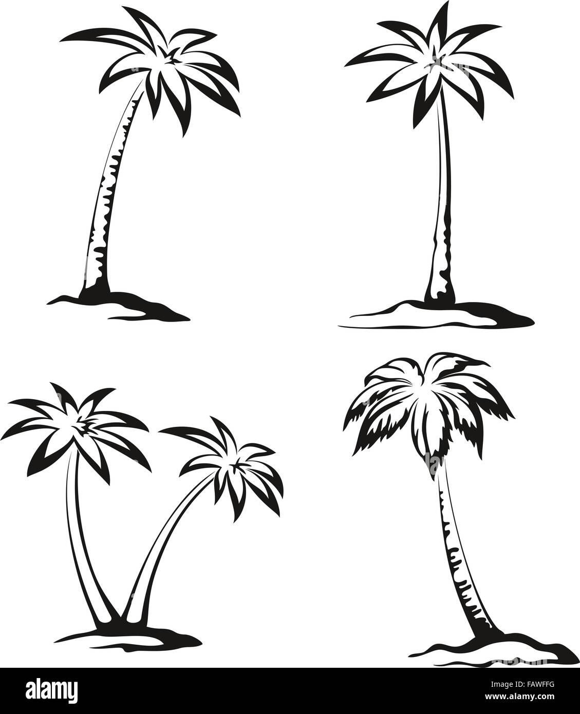 View palm tree trees Black and White Stock Photos & Images - Alamy