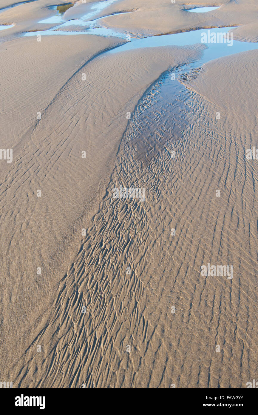 Rippled sand and sea water on a beach at low tide. Northumberland ...