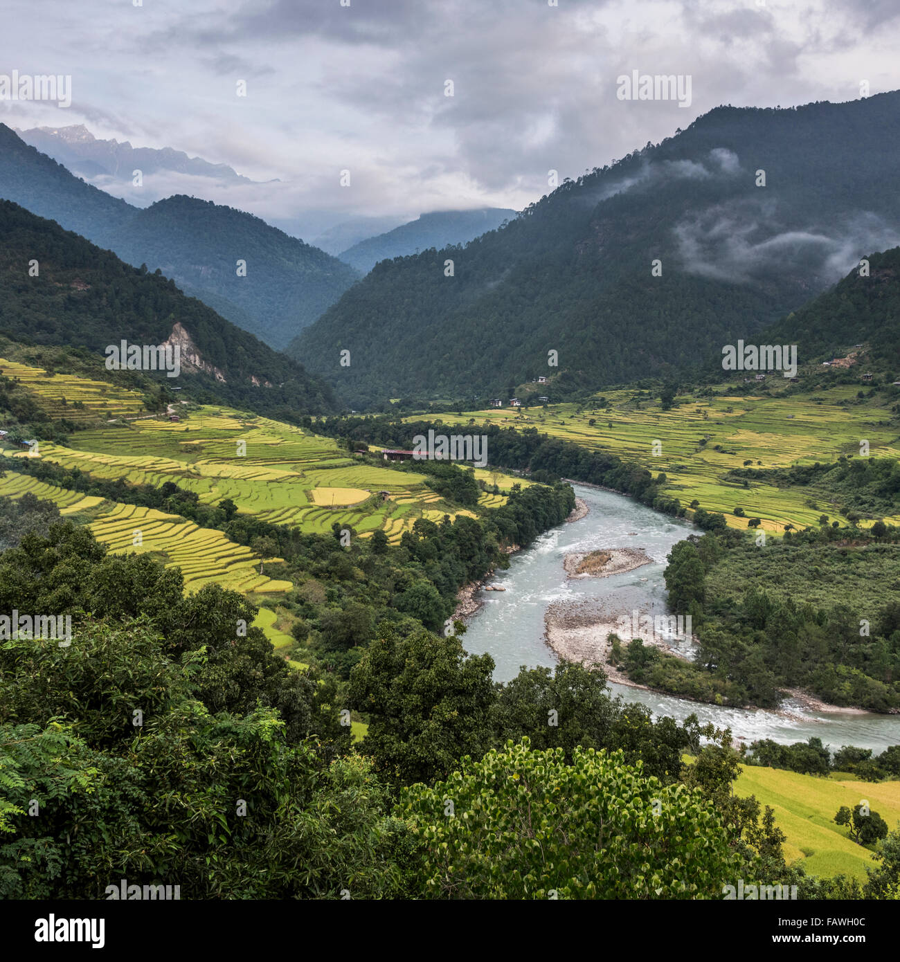 A river flowing through a valley with lush farmland surrounded by ...