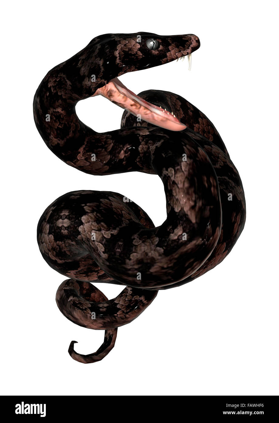 3d render snake hi-res stock photography and images - Alamy