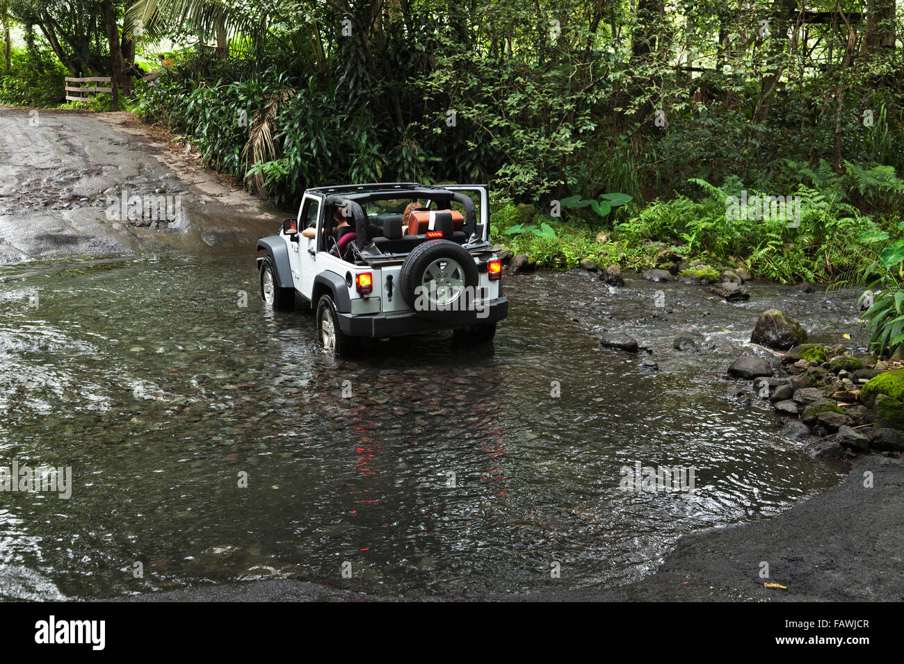 Tourist 4-wheel drive jeep crosses Waipio River in Waipio River Valley ...