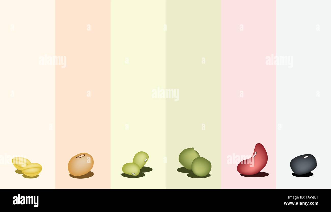A Row of Different Dried Beans, Mung Bean, Kidney Bean, Black Eye Bean ...