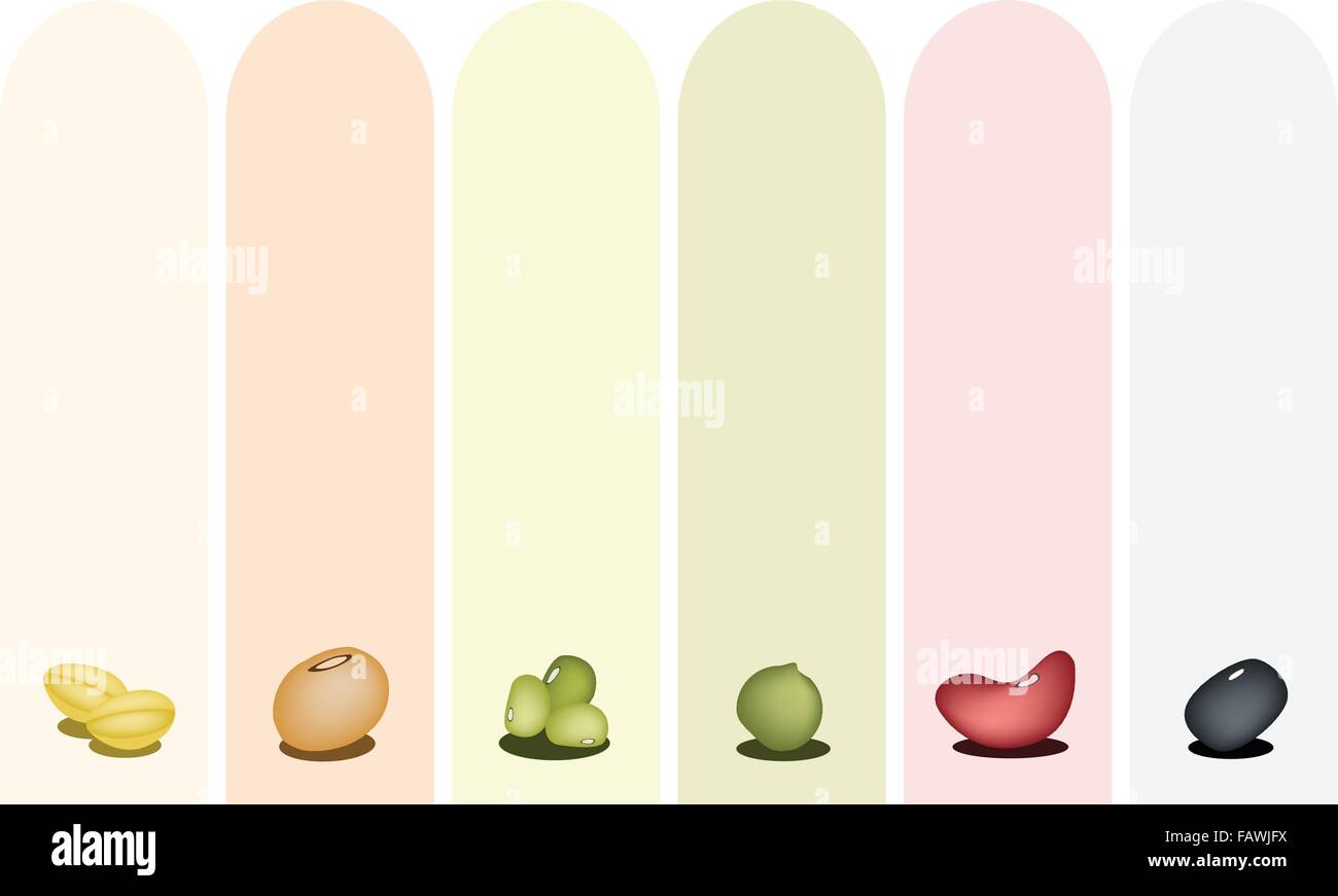 Different Dried Beans, Mung Bean, Kidney Bean, Black Eye Bean, Soy Bean ...