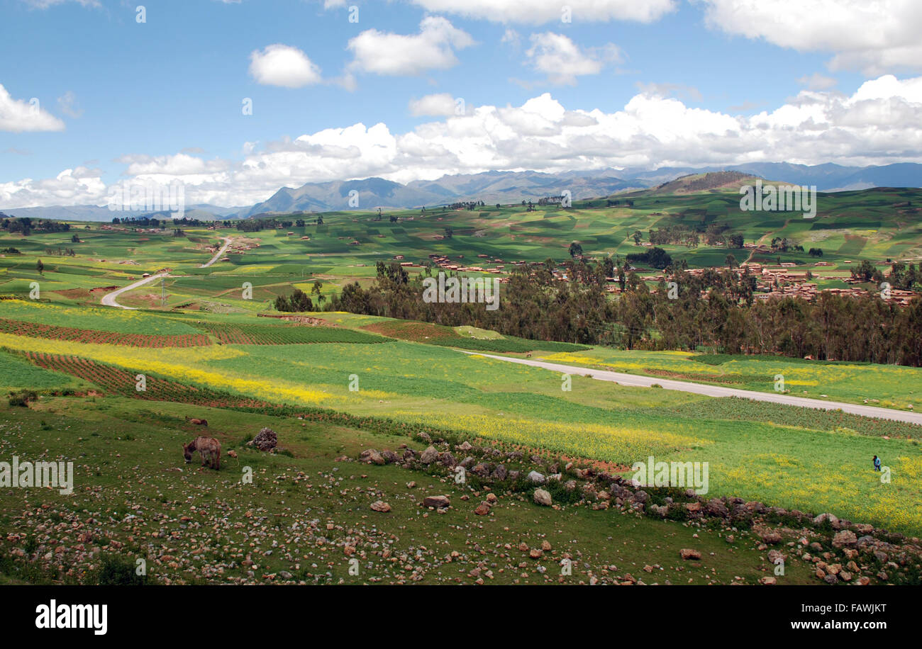 Road farm field hi-res stock photography and images - Alamy