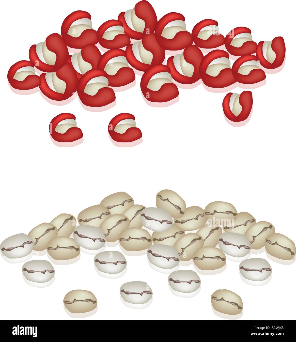 Ripe coffee cherries Stock Vector Images - Alamy