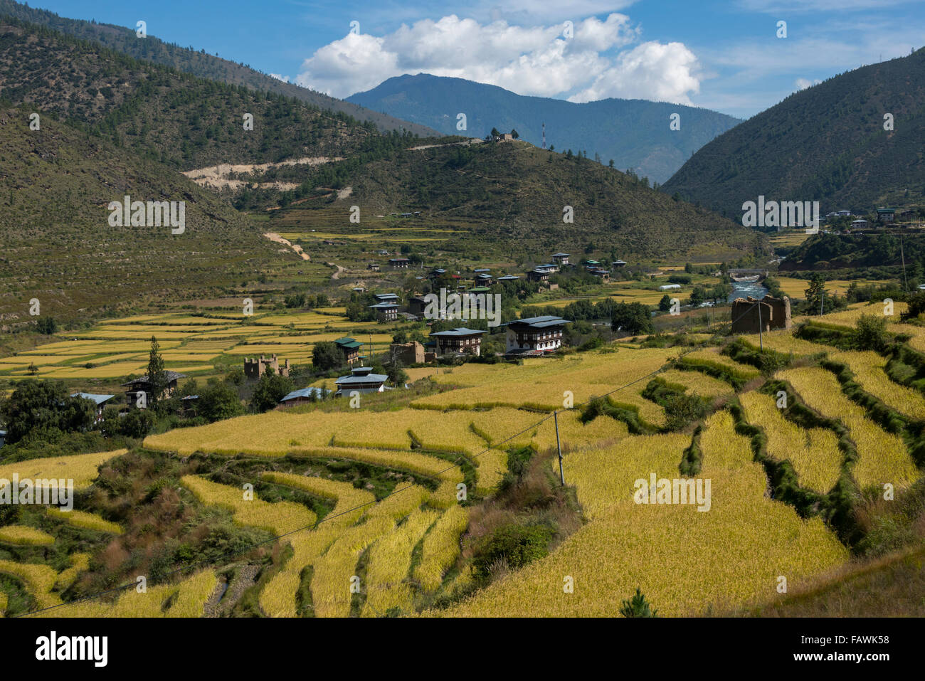 Terraced farmland in a valley; Bhutan Stock Photo - Alamy