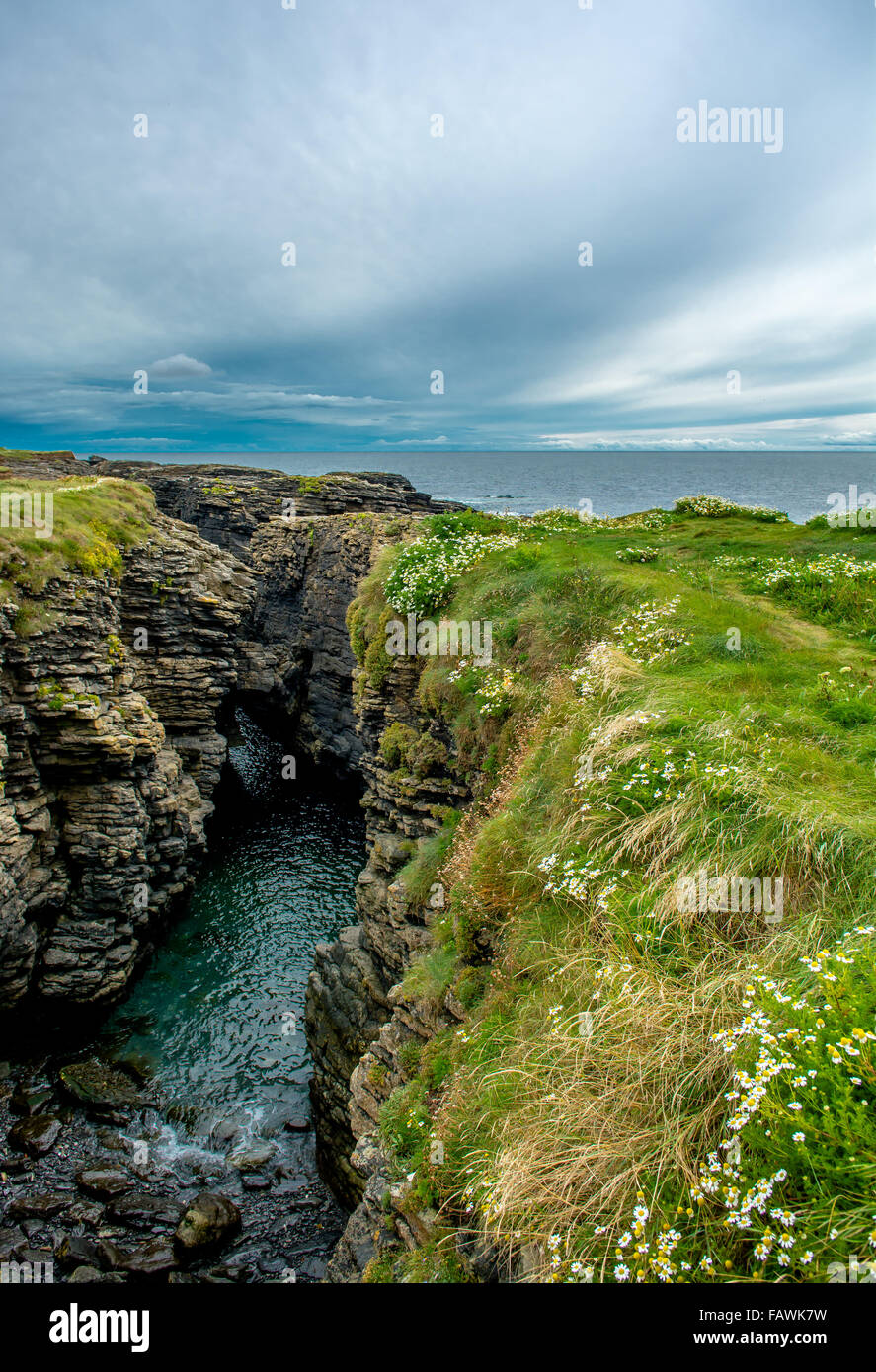 Coast at Hook Head near Waterford in Ireland Stock Photo - Alamy
