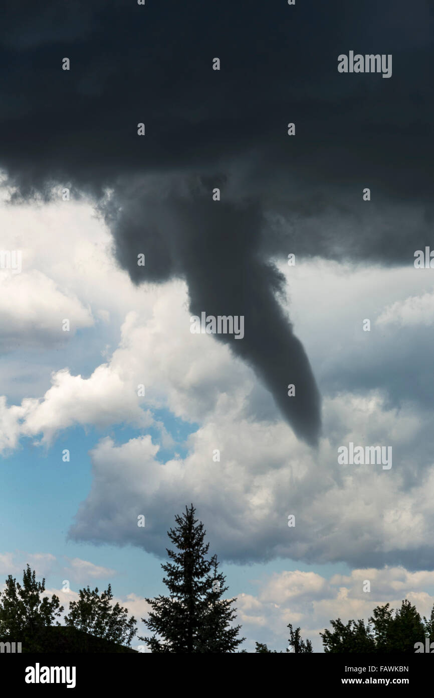 Tornado funnel trees hi-res stock photography and images - Alamy