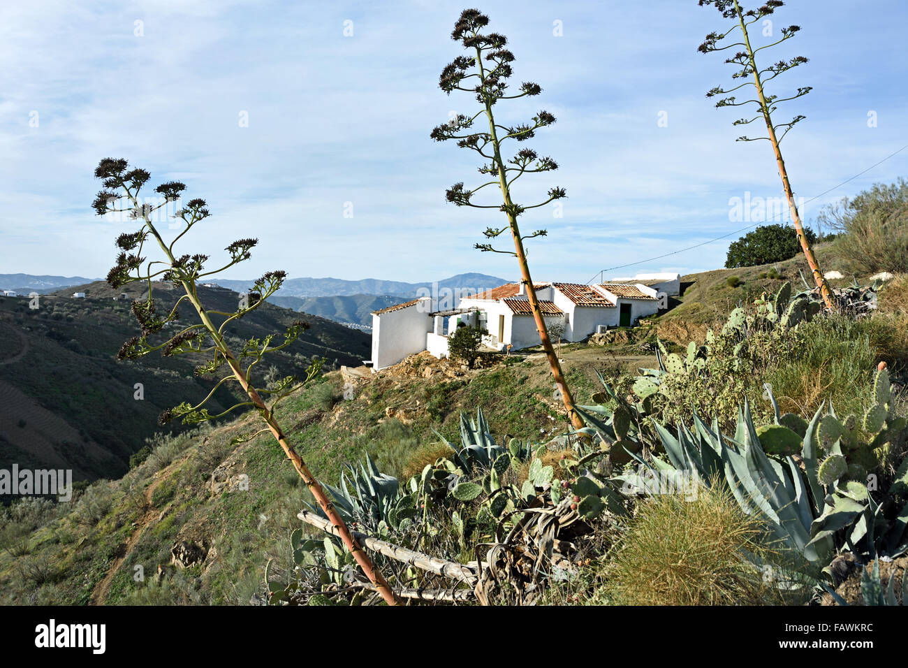 Alcaucin spanish spain andalusia hi-res stock photography and images ...