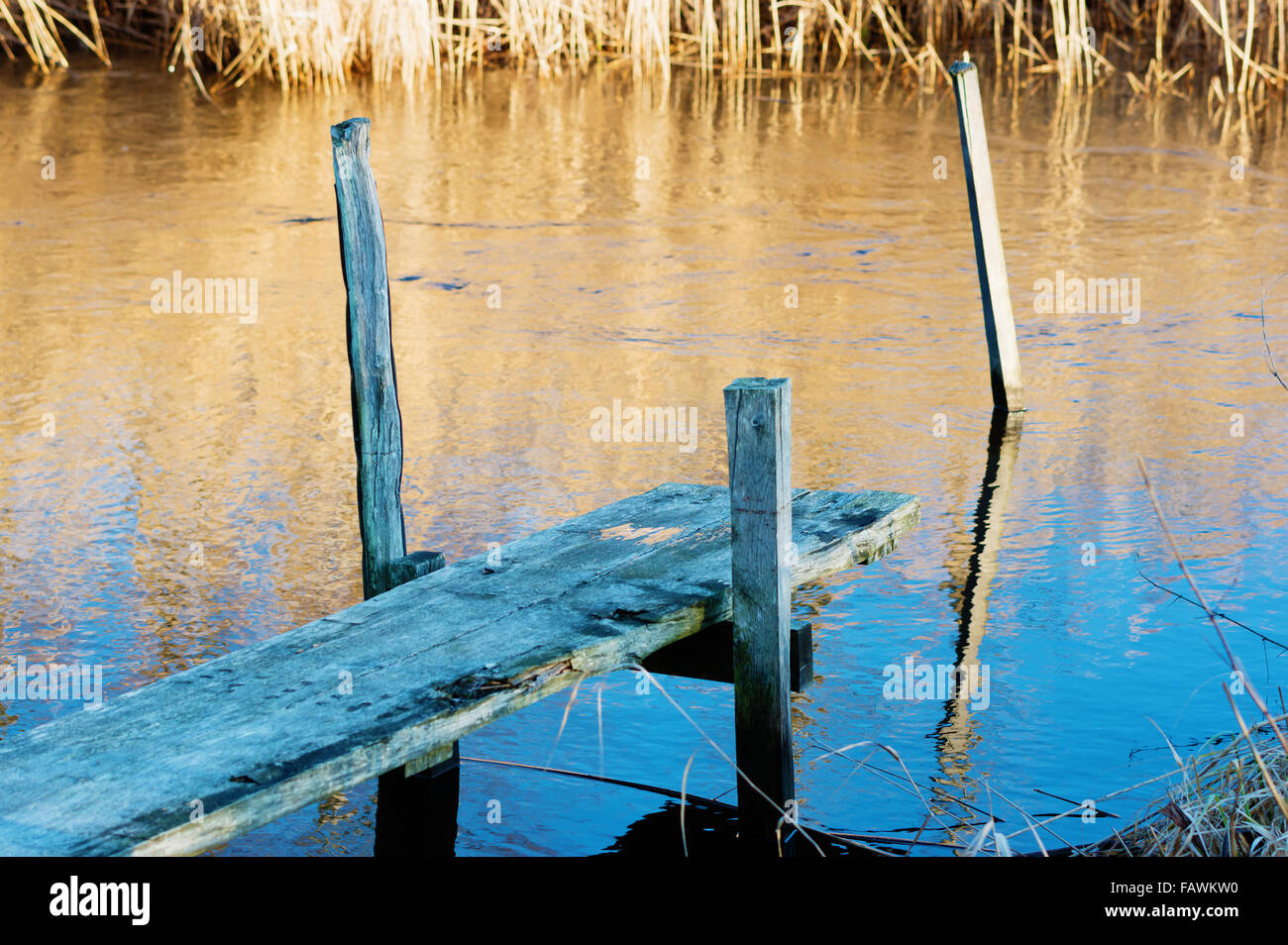 A very small and narrow wooden jetty in a small river. Part of reed ...