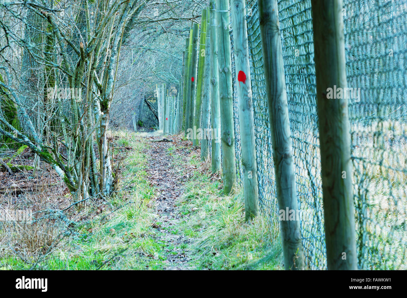 A narrow path in a nature reserve outside a wildlife fence. A hiking ...