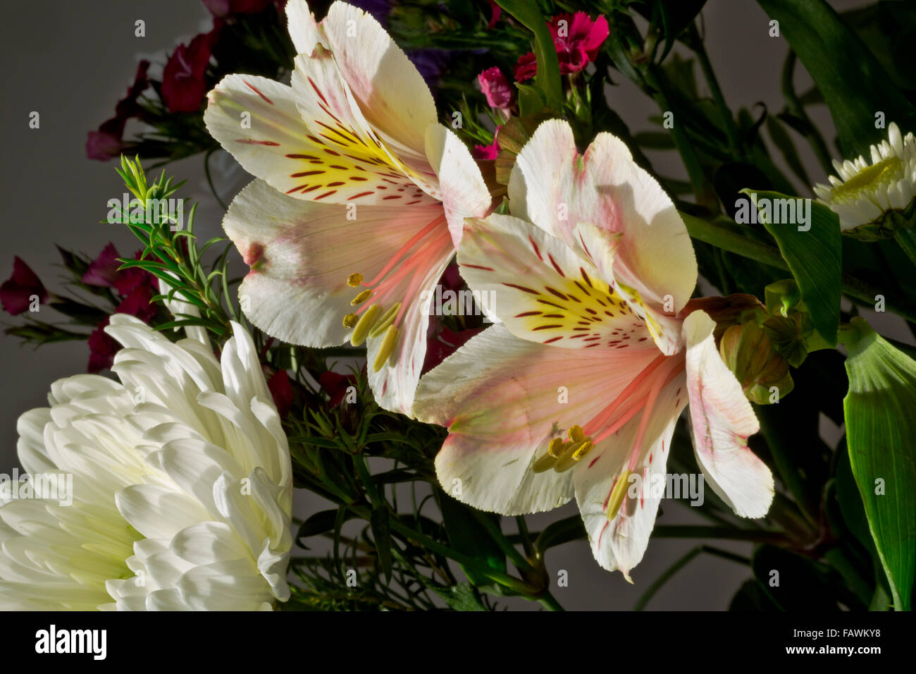 WA12489-00...WASHINGTON - A flower arrangement Stock Photo - Alamy
