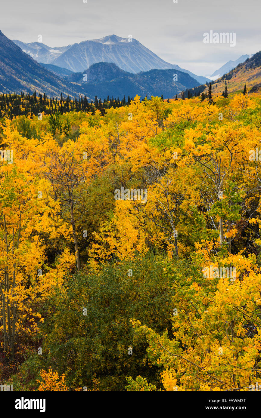 Fall colors in yukon territory hi-res stock photography and images - Alamy