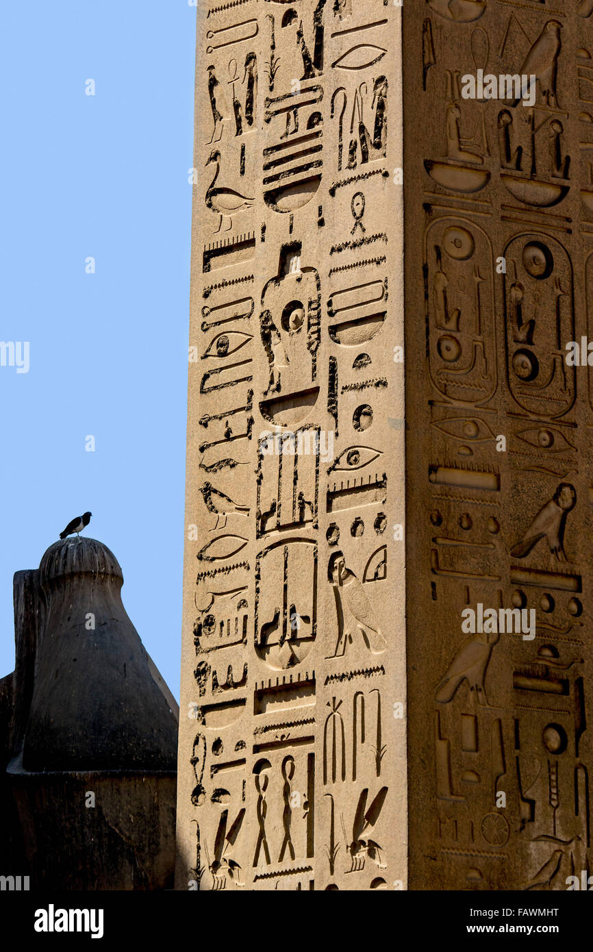 Egyptian hieroglyphs on red granite obelisk in the Luxor Temple in ...