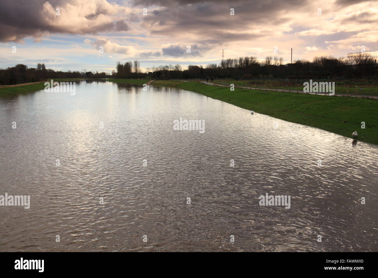 Exeter flood relief channel, in operation following heavy rain, Exeter ...