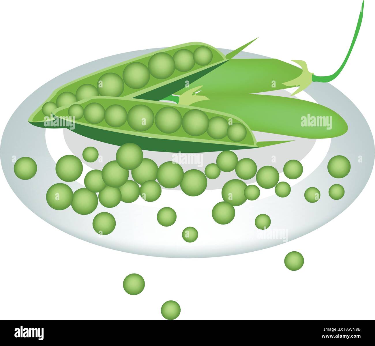 Vegetable, An Illustration of Various Style Fresh Green Peas and Pea ...