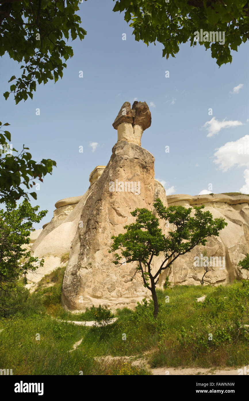 Fairy chimneys in Pasabag Valley; Goreme, Cappadocia, Turkey Stock ...