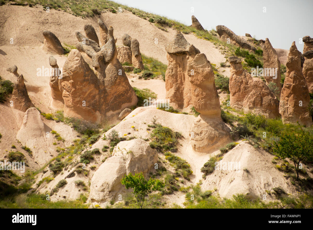 Fairy chimneys in Dervent Valley, also known as Imagination Valley ...