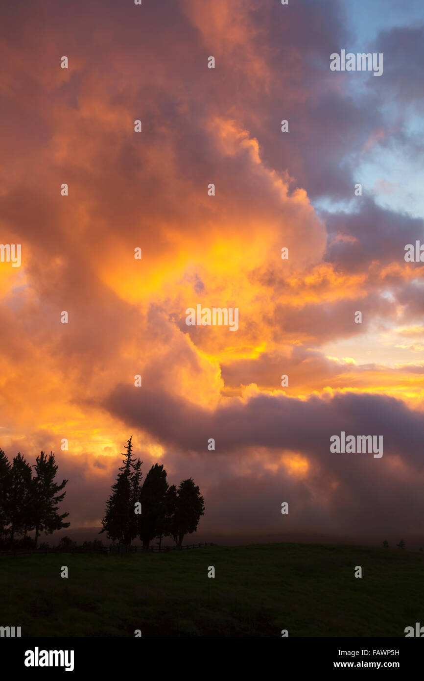 Clouds glowing orange at sunset; Kula, Maui, Hawaii, United States of ...