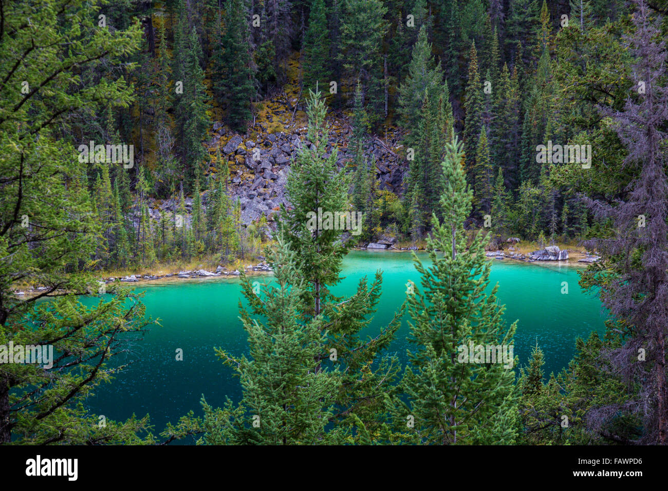 Valley Of Five Lakes, Jasper Nationalpark, Alberta, Canada Stock Photo ...