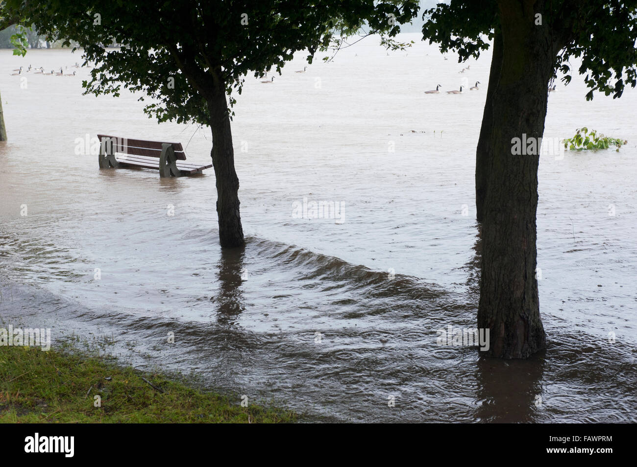 Flooding people germany hi-res stock photography and images - Alamy