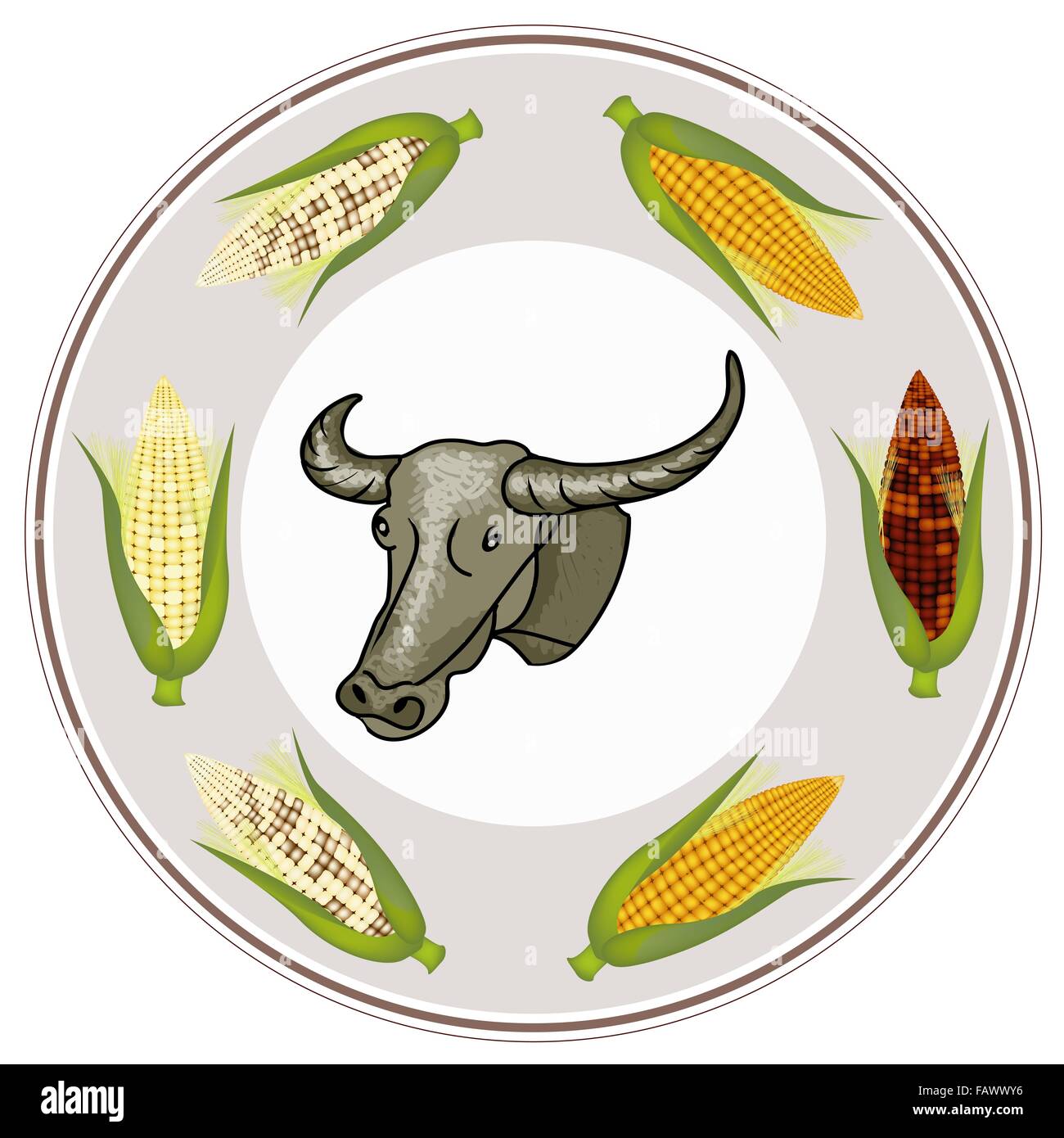 A Buffalo with Four Different Colors of Fresh Corns, Purple, Yellow ...