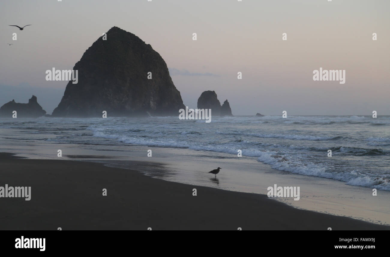 Haystack Rock at Cannon Beach, Oregon Stock Photo - Alamy