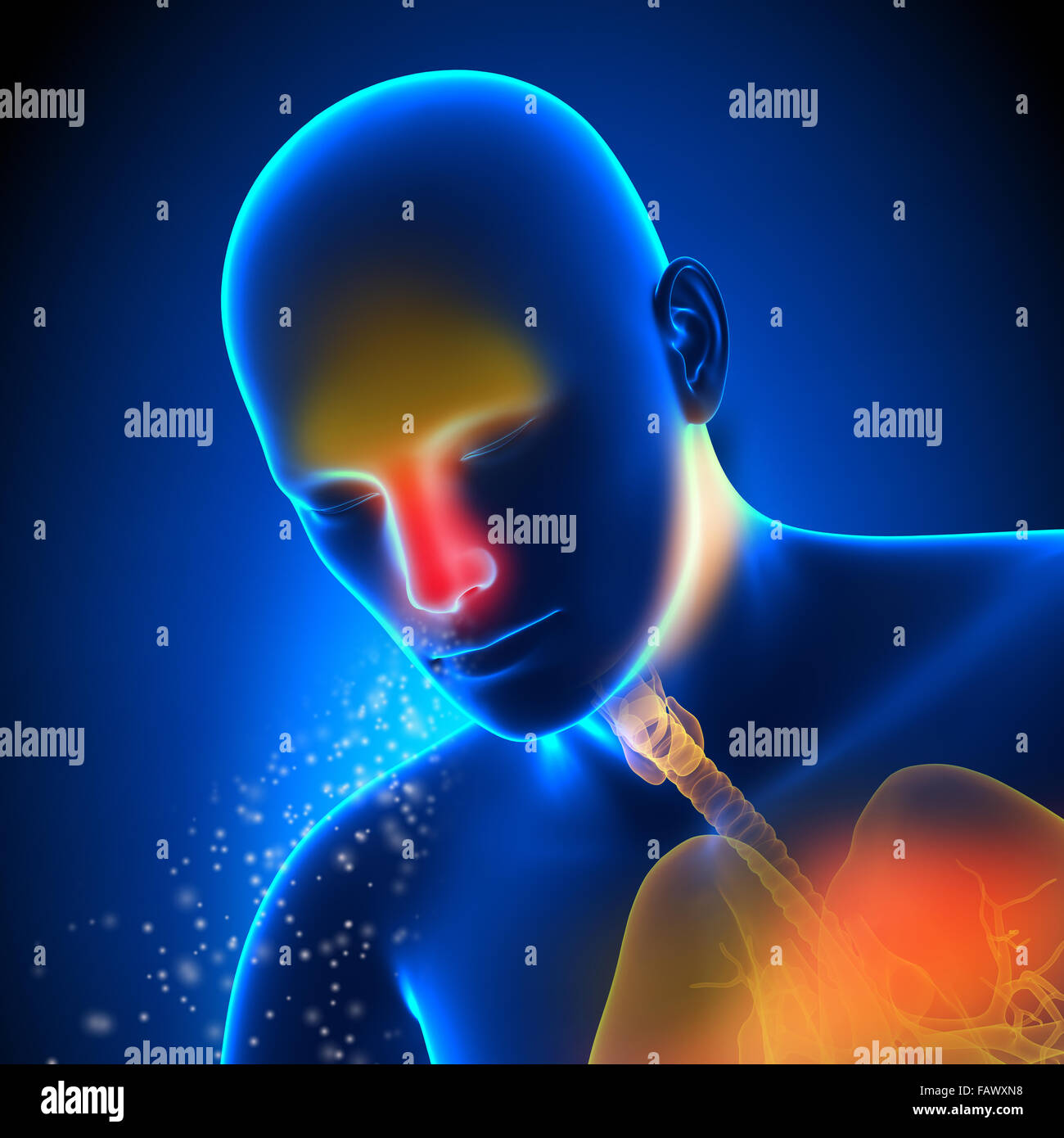 Man with Flu - Cold in the Head - Sneezing anatomy concept Stock Photo ...