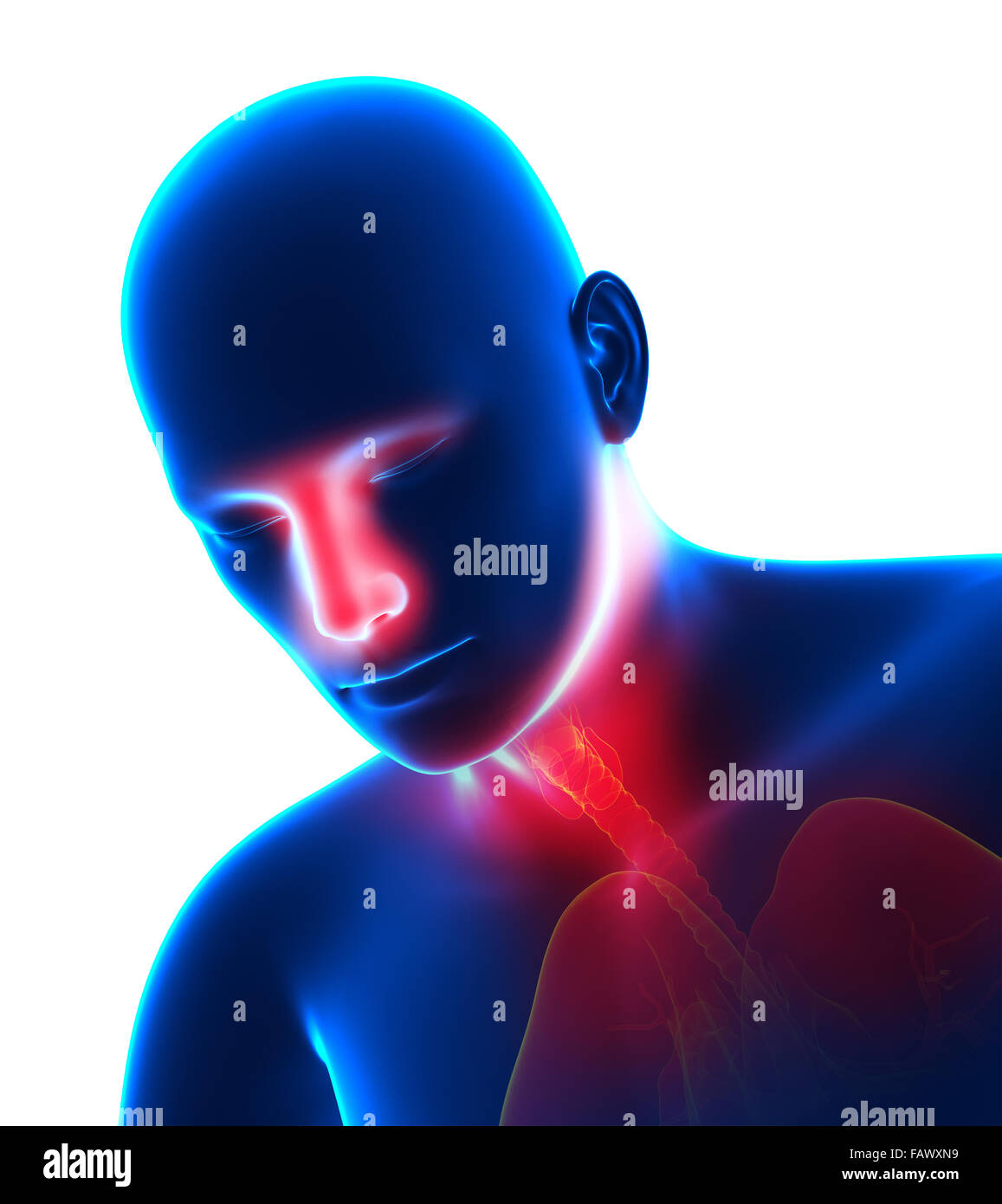 Cold and flu white background hi-res stock photography and images - Alamy