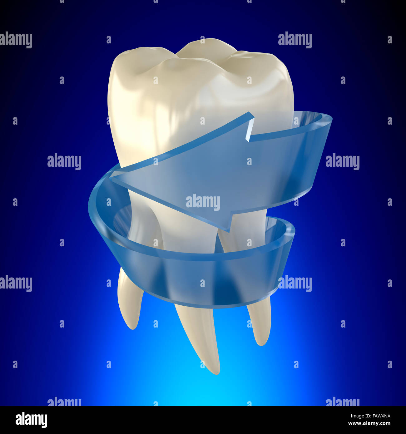 Fresh Repaired Tooth Molar Healthy on blue background Stock Photo - Alamy