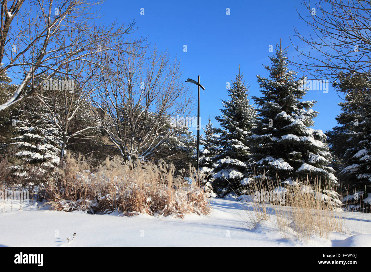 Montreal forest hi-res stock photography and images - Alamy