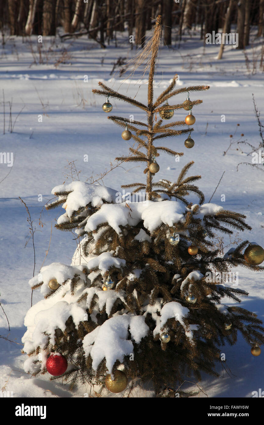 Canada winter christmas hi-res stock photography and images - Alamy