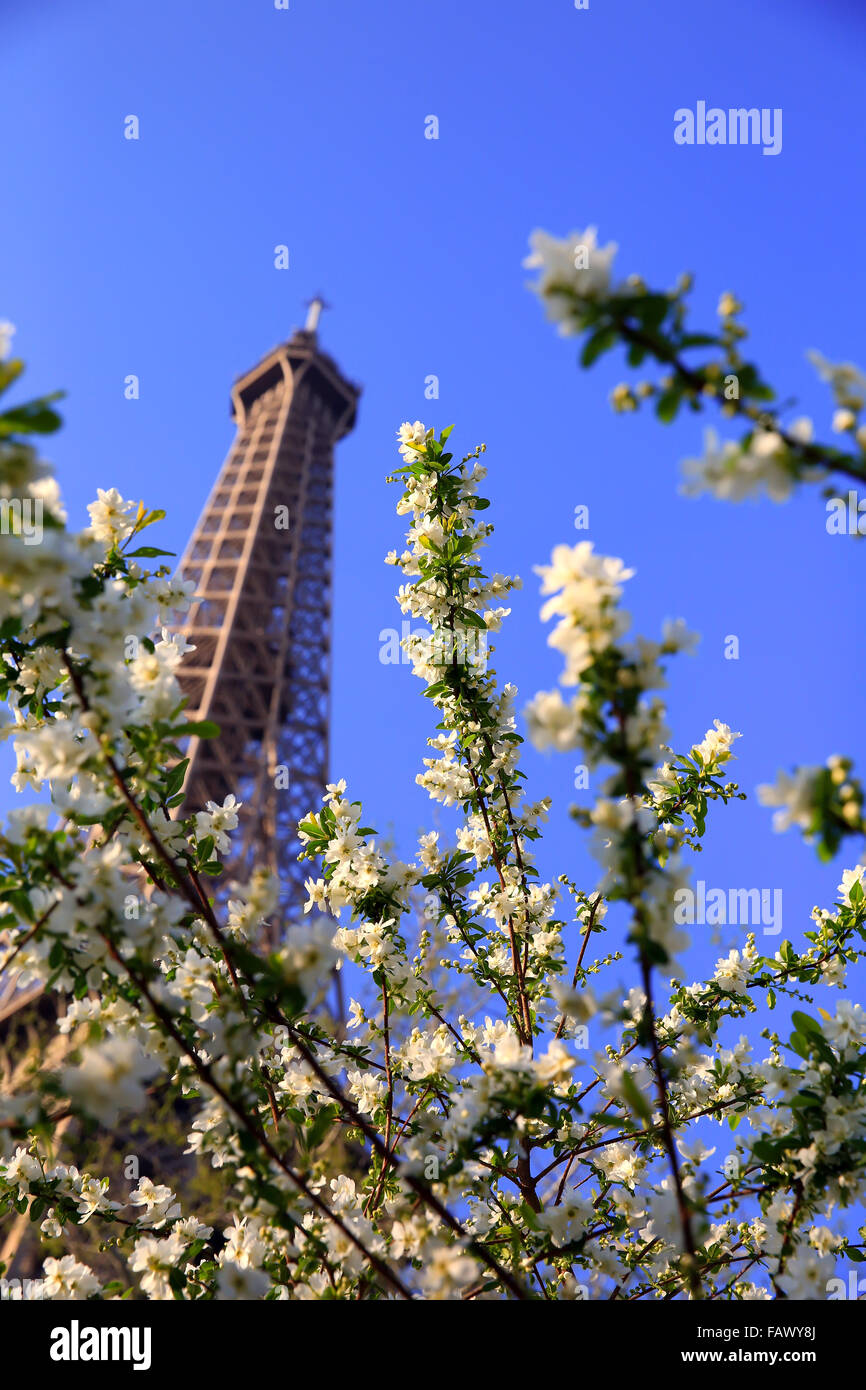 Eiffel Tower in spring time, Paris, France Stock Photo - Alamy