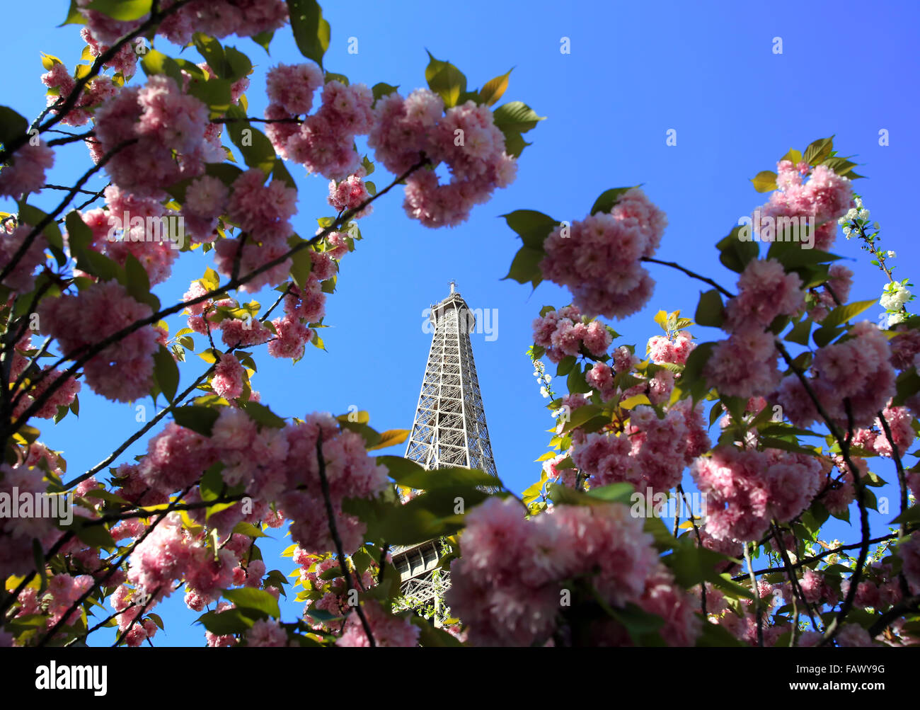 Eiffel Tower in spring time, Paris, France Stock Photo - Alamy