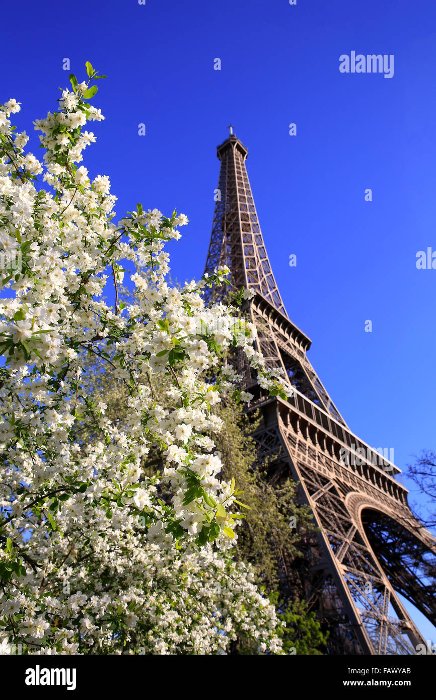 Eiffel Tower in spring time, Paris, France Stock Photo - Alamy
