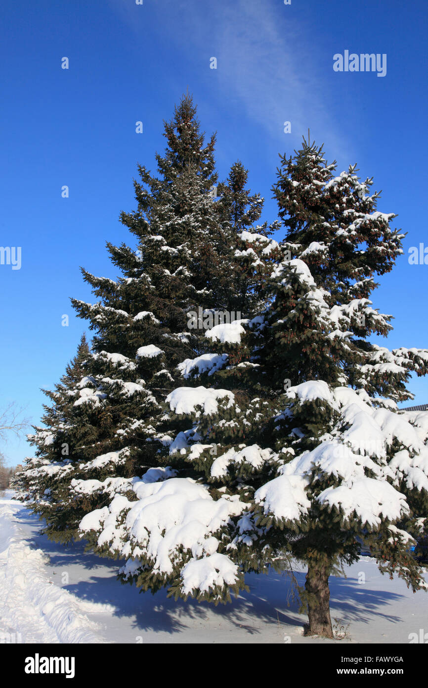 Montreal landscape winter hi-res stock photography and images - Alamy