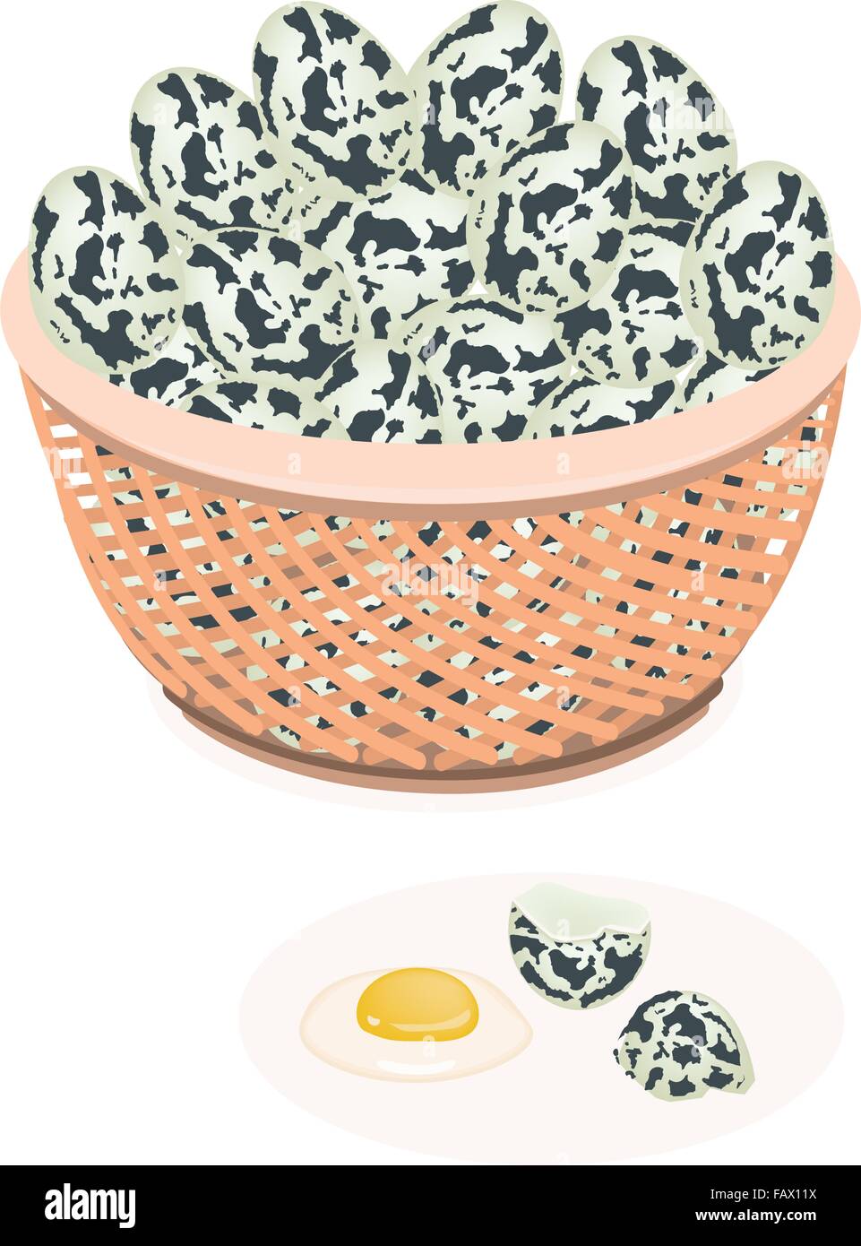 Quail eggs vector vectors hi-res stock photography and images - Alamy