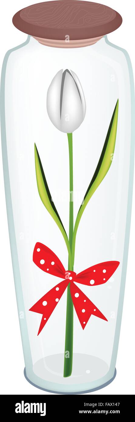 Blank white card dry Stock Vector Images - Alamy