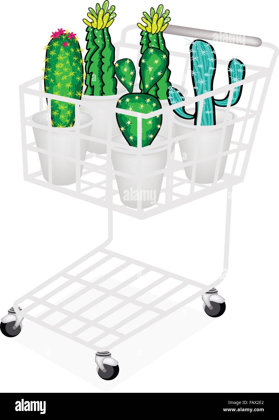 A Shopping Cart Full with Various Type of Cactus and Cactus Flowers for ...