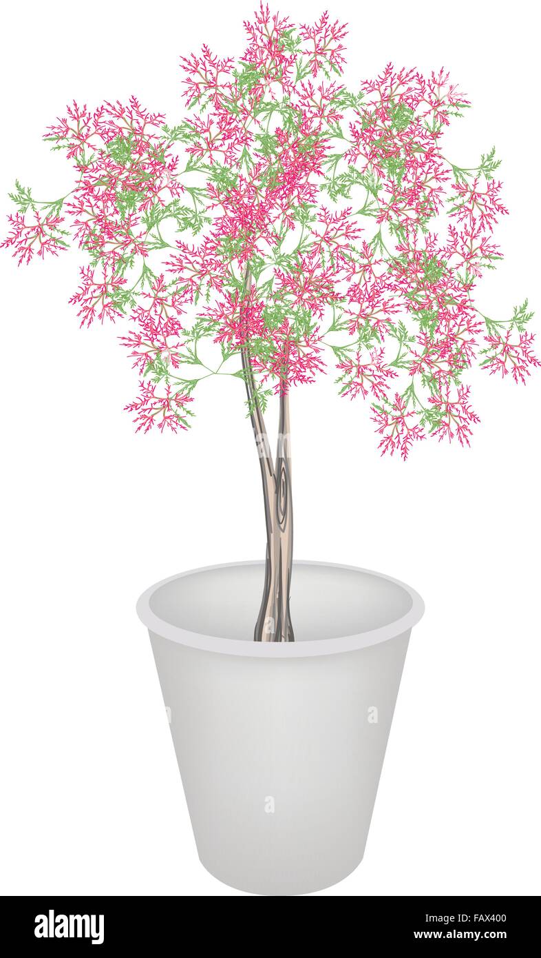 An Illustration Landscaping Tree Symbol or Isometric Tree and Plant of ...