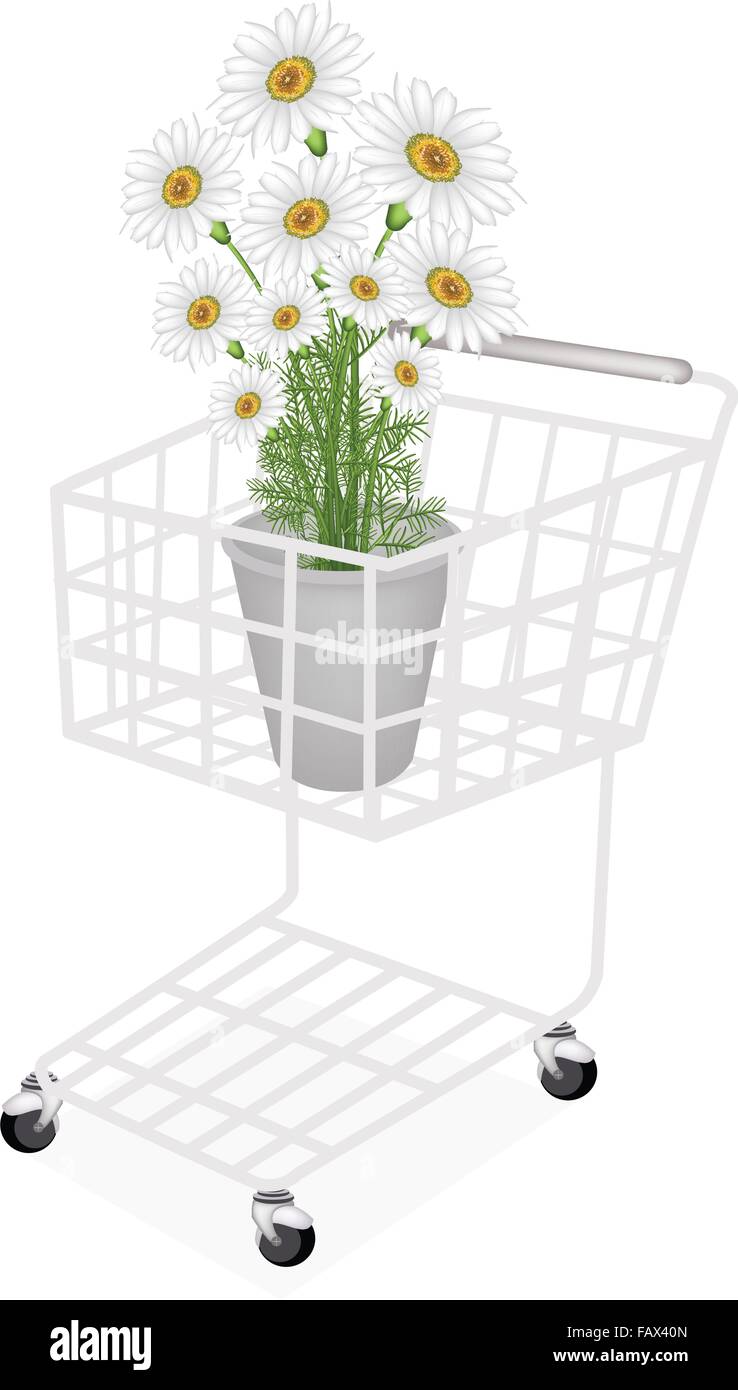 A Symbol of Love, A Shopping Cart Full with Lovely Chamomile Flowers or ...