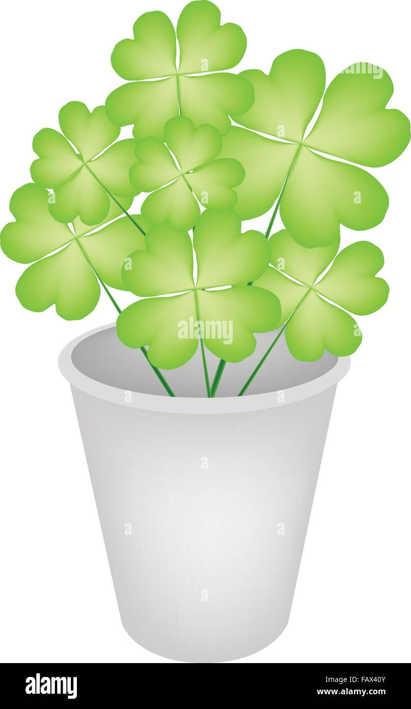 Lucky plants Stock Vector Images - Alamy