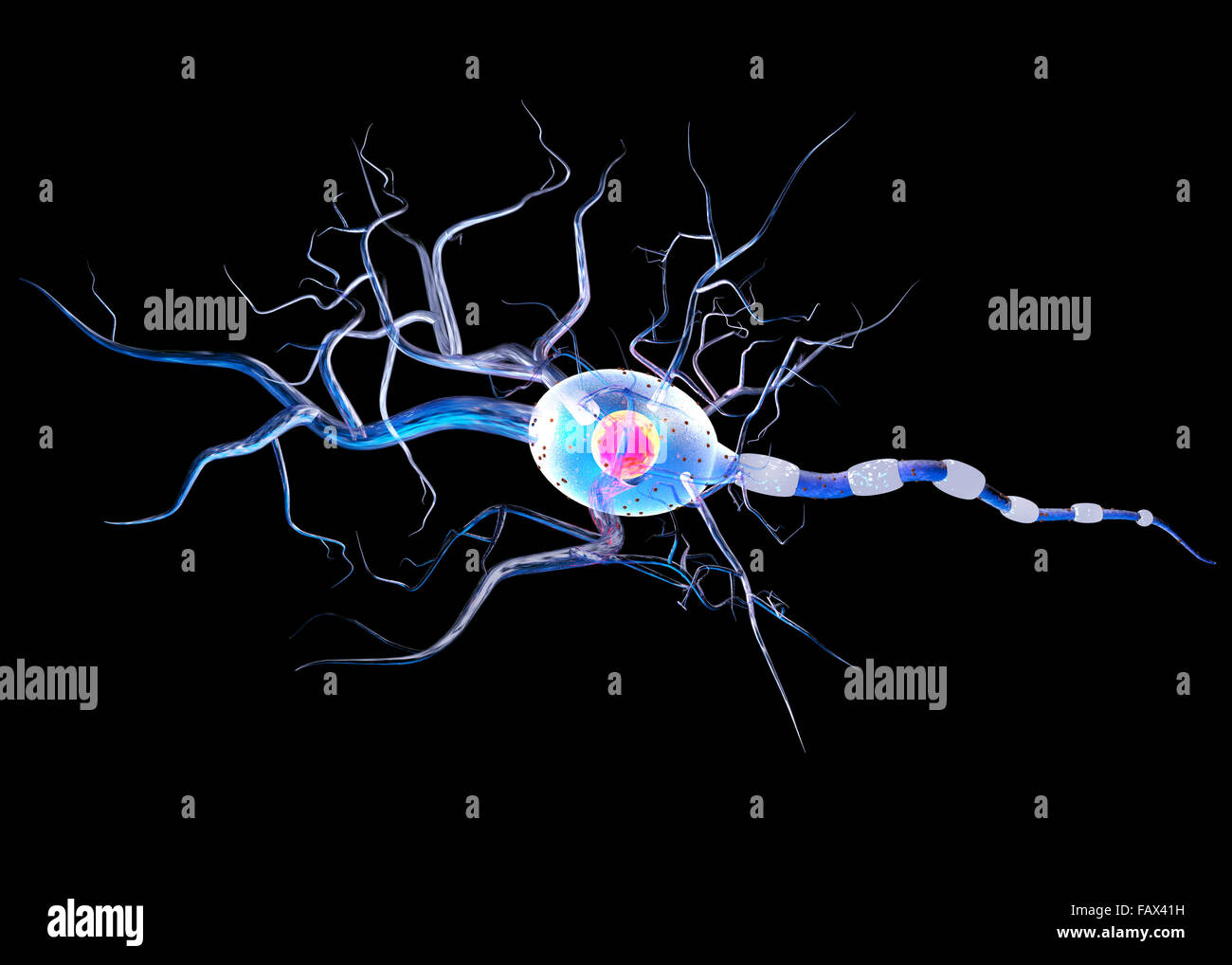Neurologic Diseases (General) as related to Brain and Nervous System ...