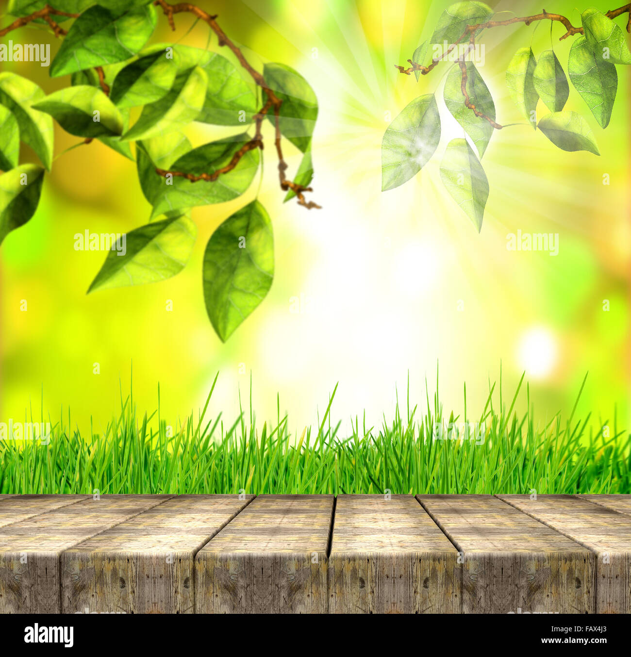 Fresh spring green grass and leaves with green bokeh, sunlight and wood ...