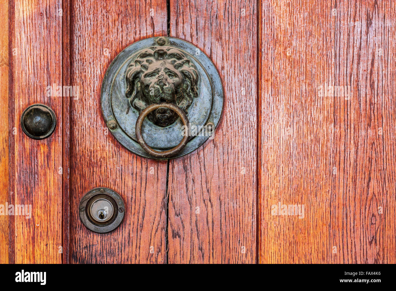 Head one ancient lion hi-res stock photography and images - Alamy